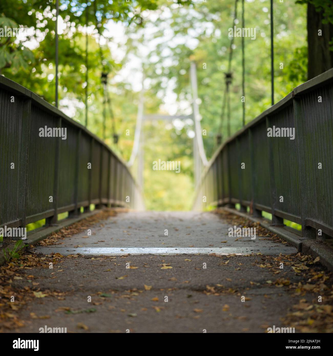 A pedestrian bridge with metal railings Stock Photo - Alamy