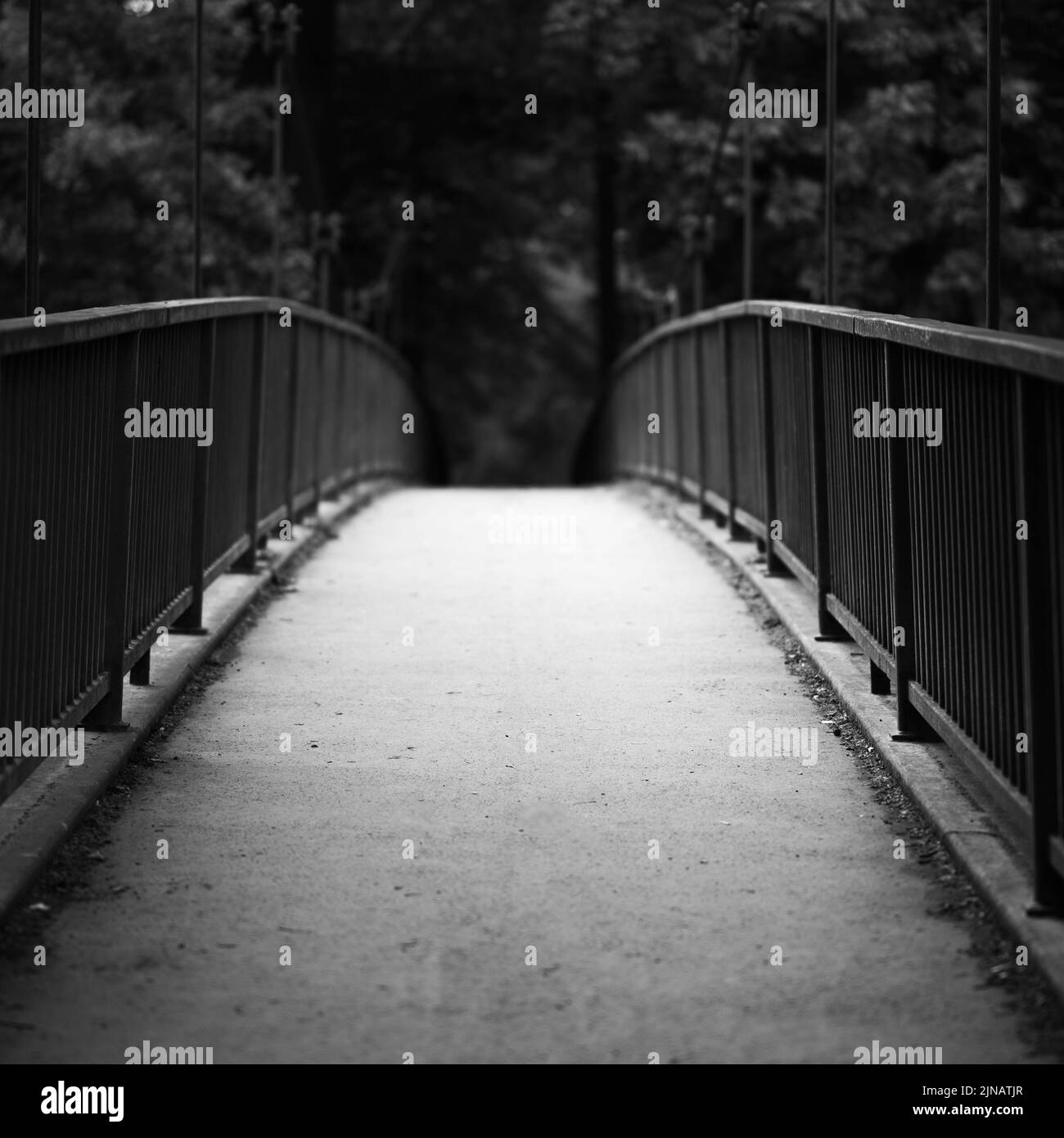 A grayscale shot of a pedestrian bridge with metal railings Stock Photo ...