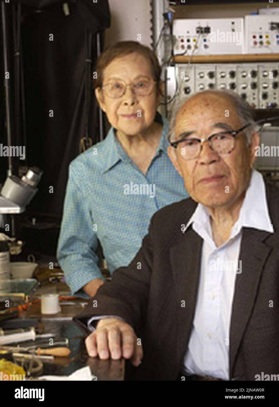 Tasaki hi-res stock photography and images - Alamy