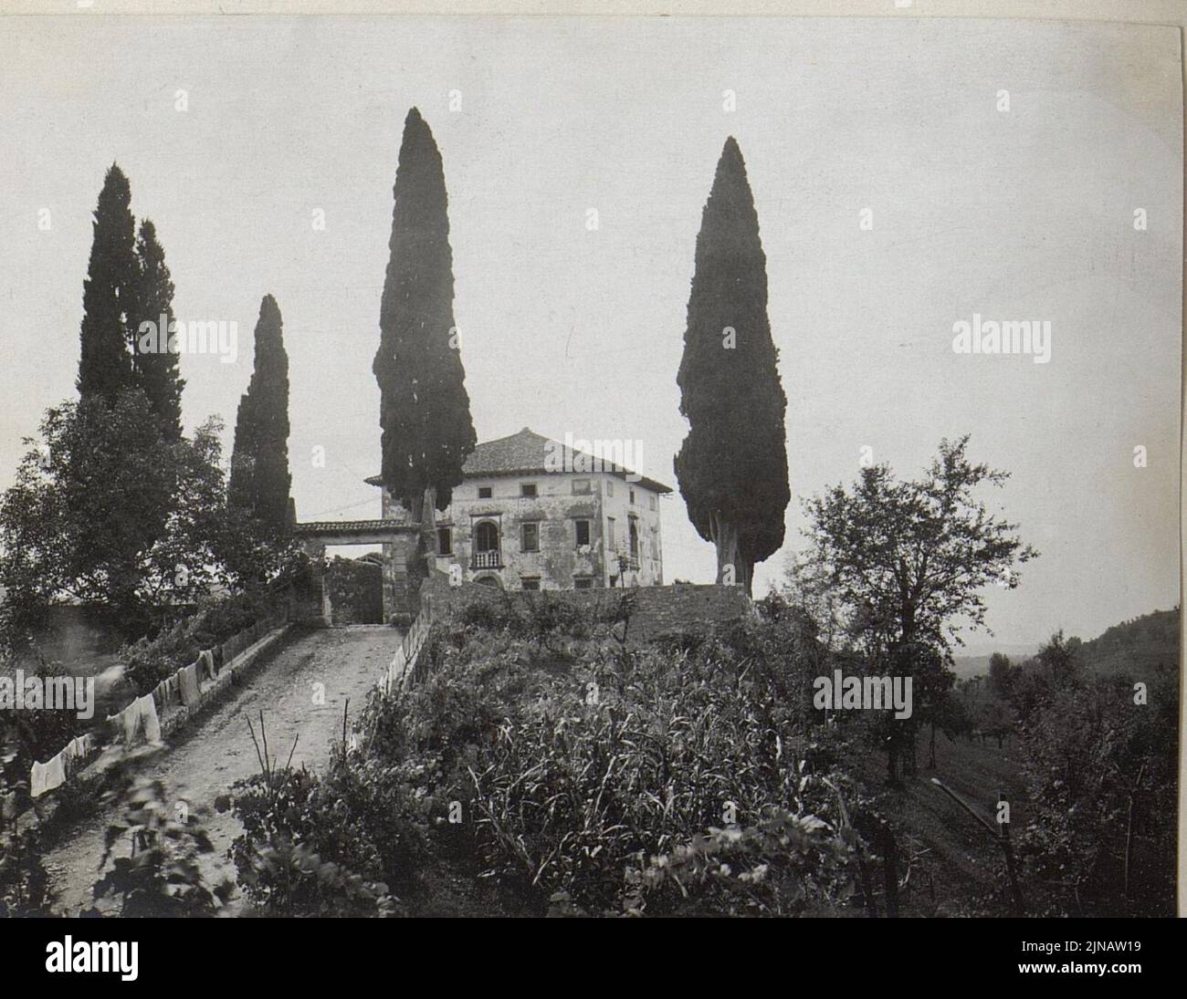 Tarzo hi-res stock photography and images - Alamy