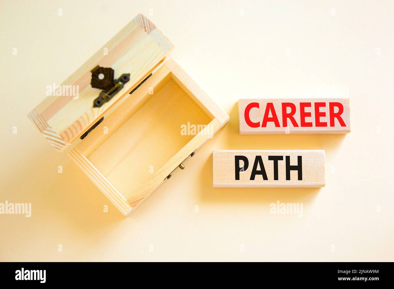 Career path symbol. Concept words Career path on wooden blocks on a ...