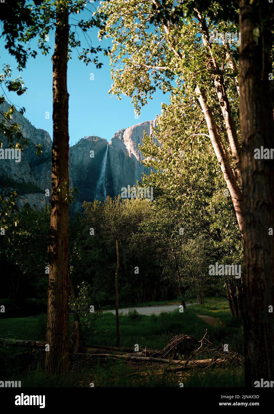 A scenic view of giant granite mountains and pine trees in Yosemite ...