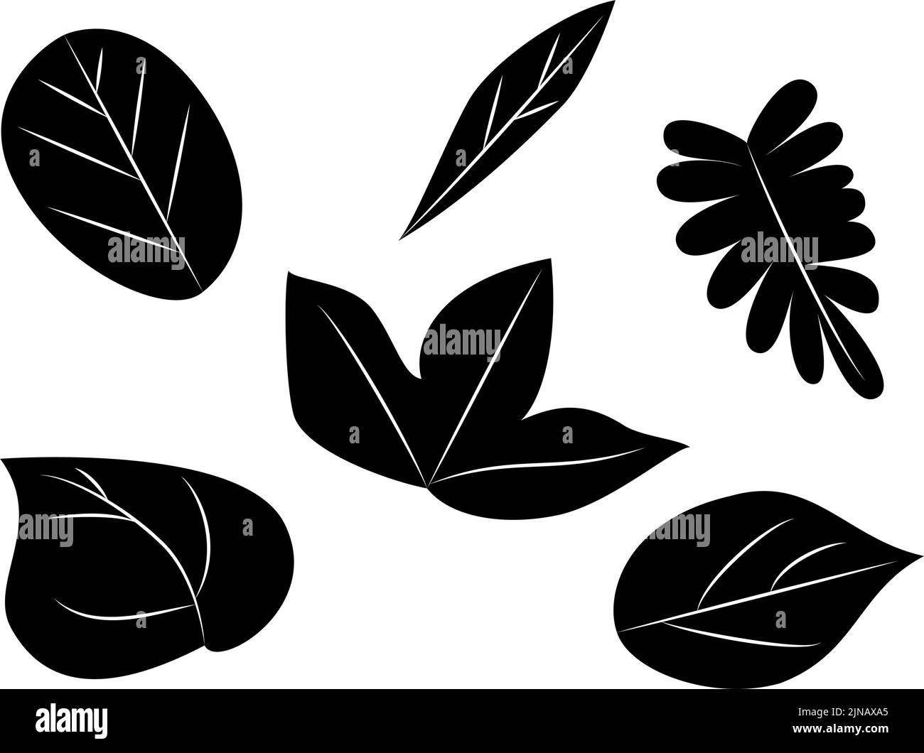 Simple plant leaves monochrome Stock Vector Image & Art - Alamy