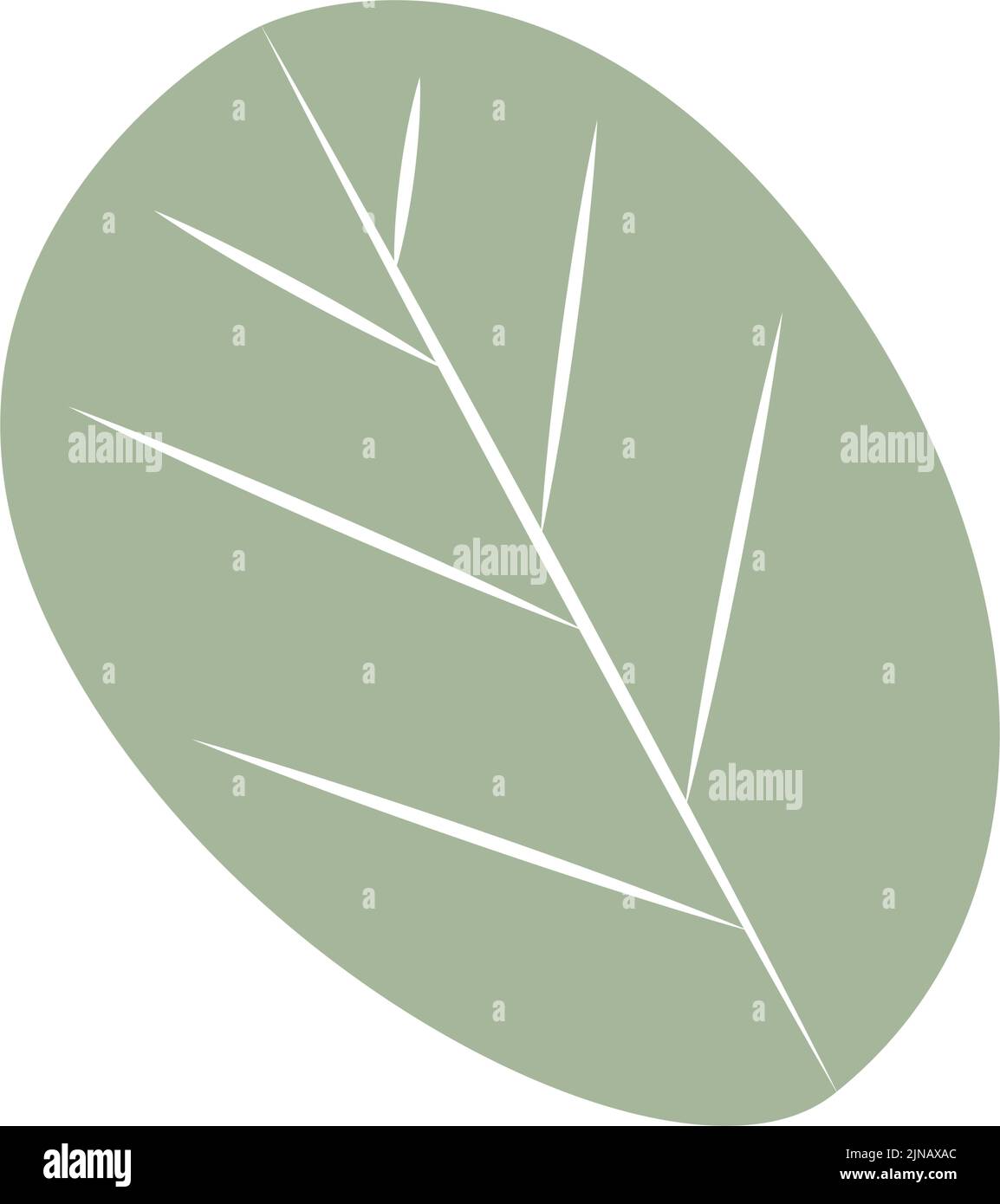 Green leaf frame material Stock Vector Image & Art - Alamy