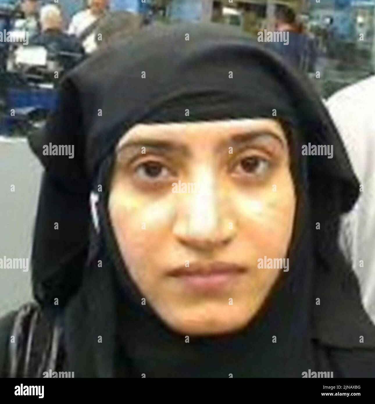 Tasheen Malik at Ohare Airport via US Customs 7-27-2014 Stock Photo - Alamy