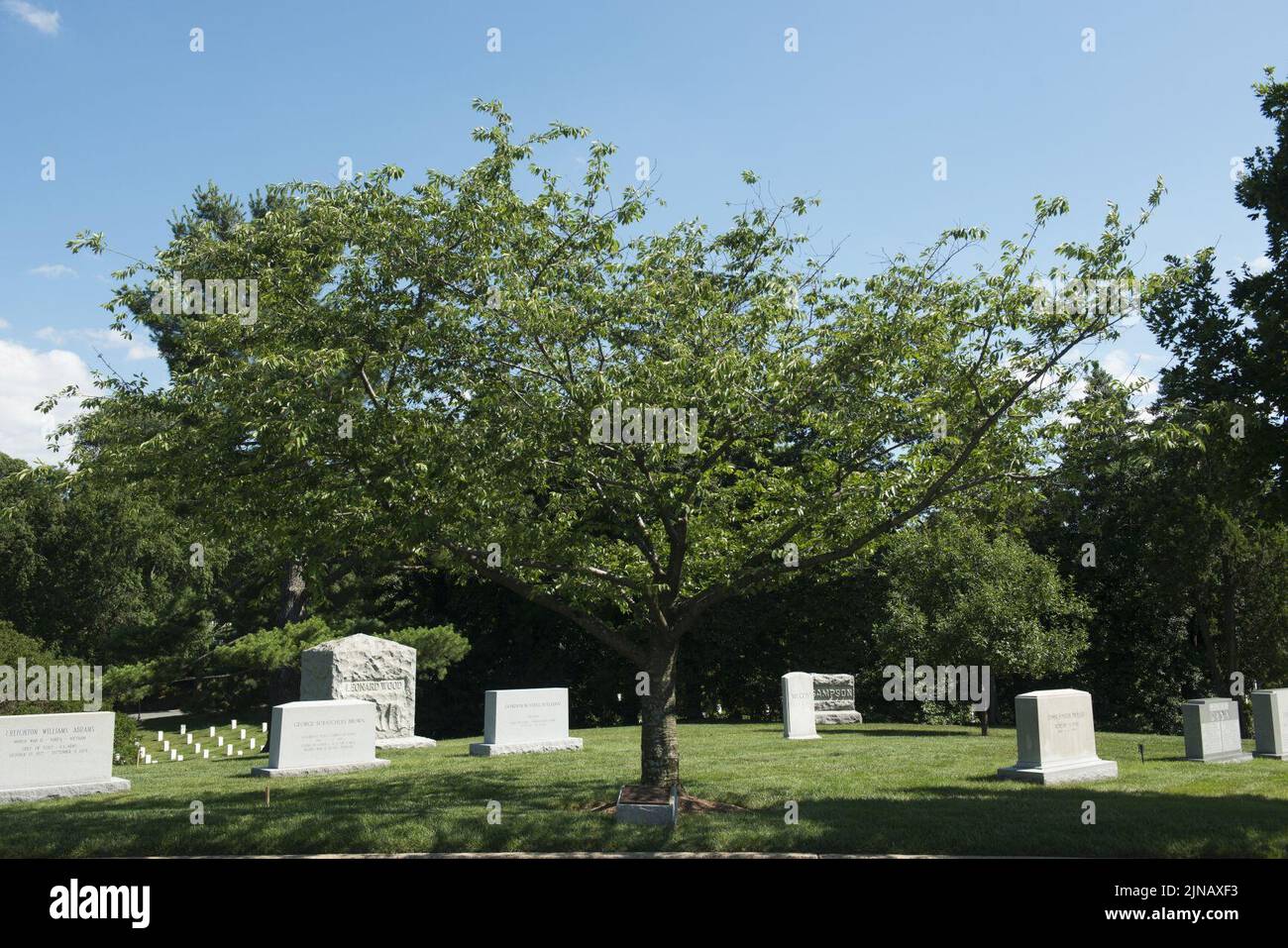 Task Force Smith Memorial in Arlington National Cemetery. (27706852260 ...