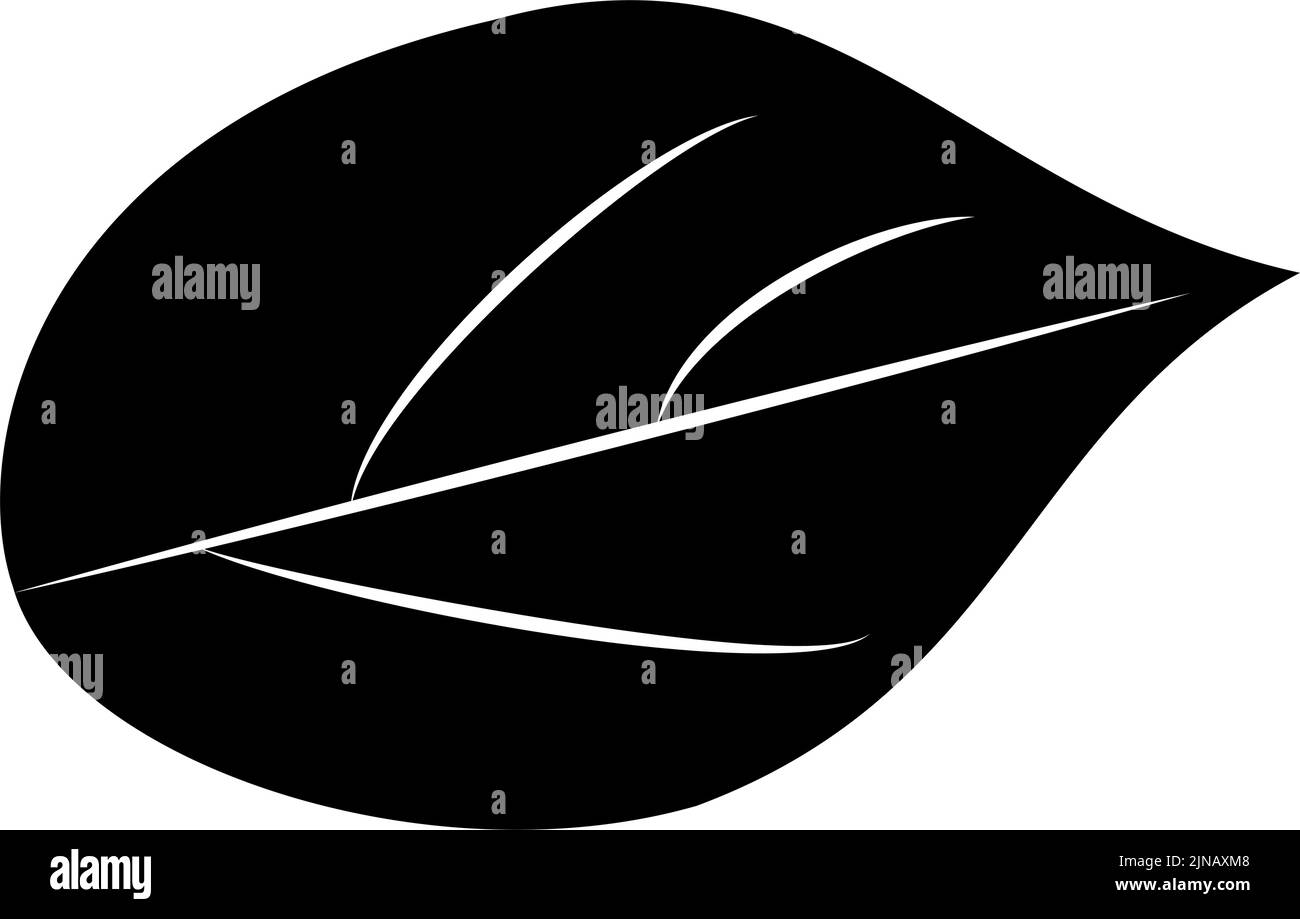 Simple plant leaves monochrome Stock Vector Image & Art - Alamy