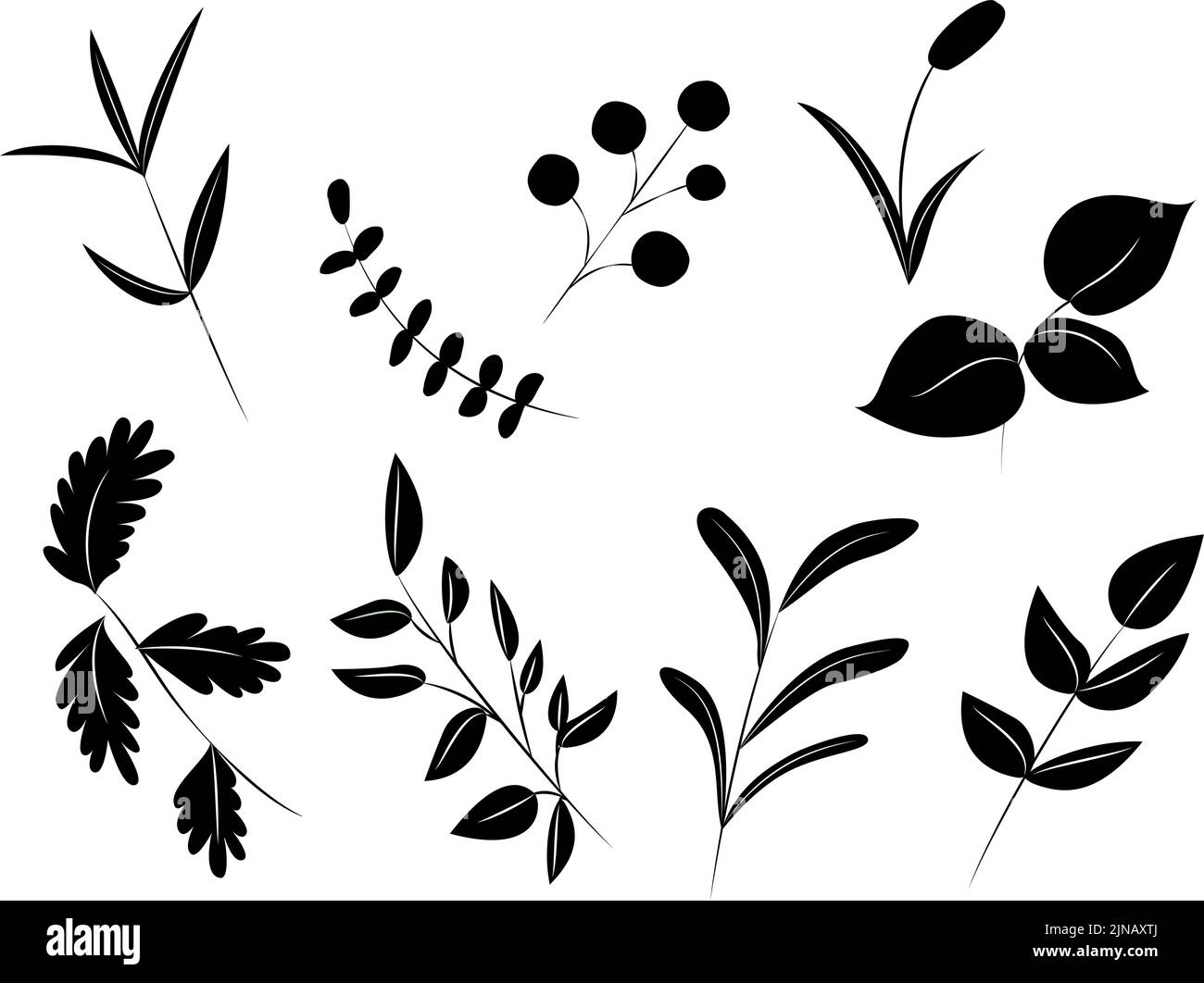 Simple plant leaves monochrome Stock Vector Image & Art - Alamy