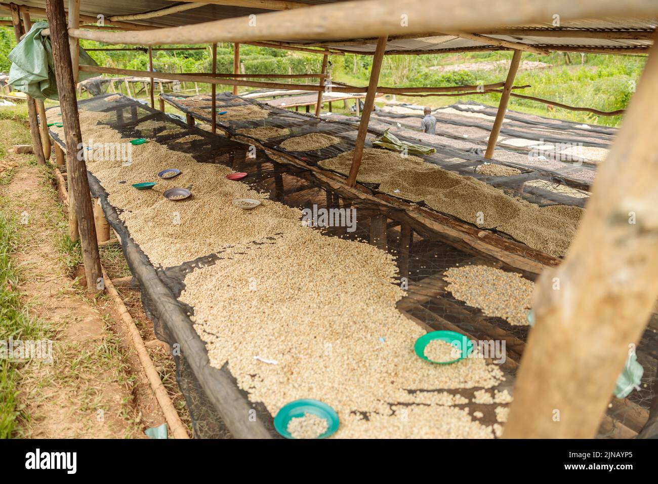 Outdoor hand washing station farm hi-res stock photography and images ...