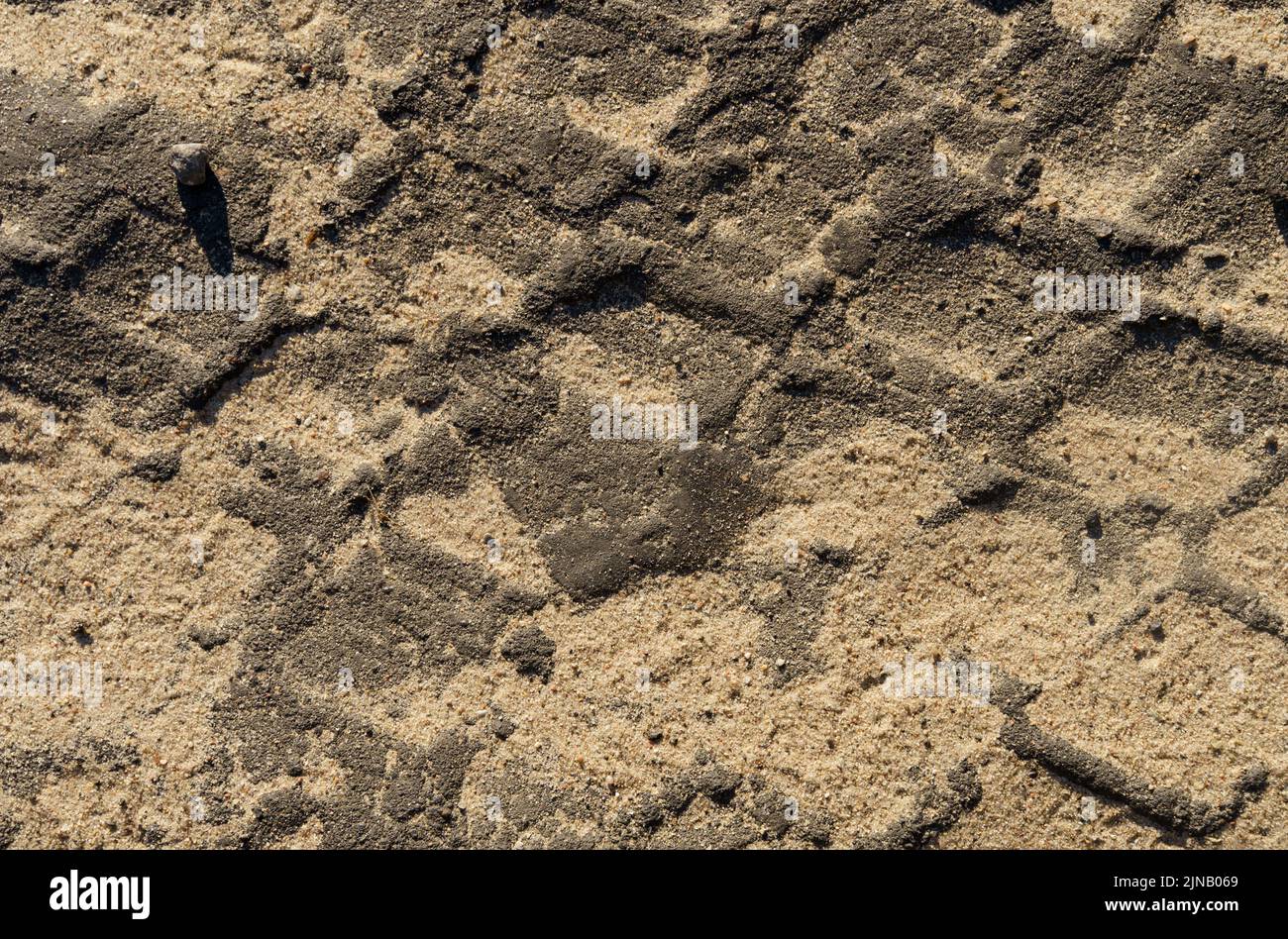 Truck tire tread track on a dirt road. Backgrounds and textures Stock ...