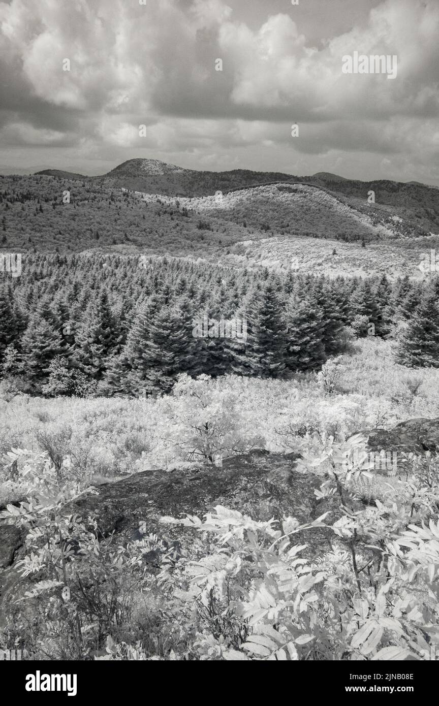 Infra-Red images from Black Balsam on the Blue Ridge Parkway in Western ...