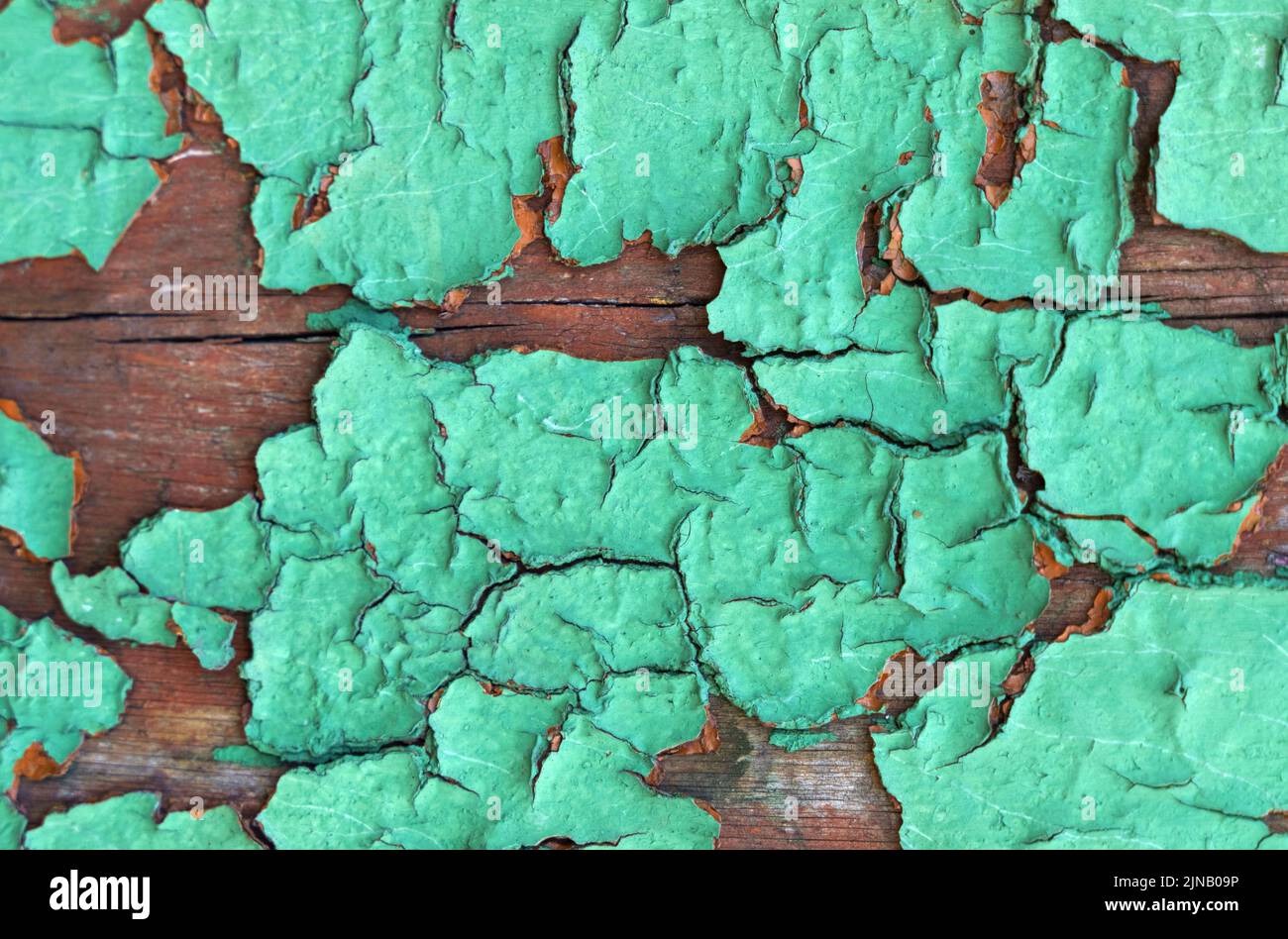 Texture of old green paint peeled off a wooden surface. Close-up Stock ...