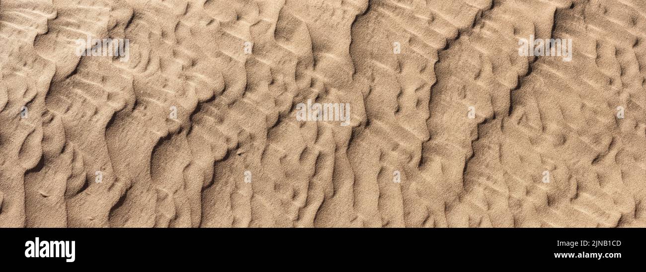 Namibia, the Namib desert, graphic landscape of yellow dunes ...