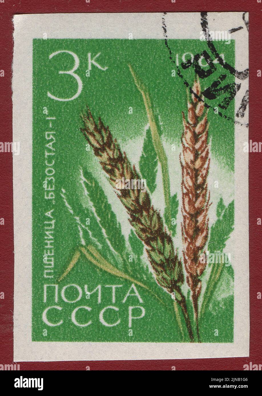 USSR - CIRCA 1964: A stamp printed in USSR shows a agricultural crop ...