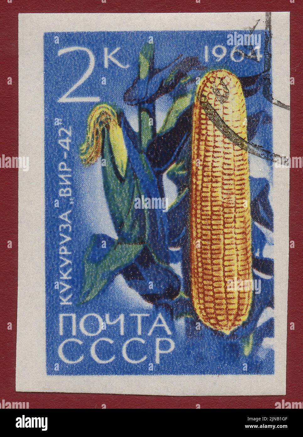 USSR - CIRCA 1964: Postage stamp 'Corn of hybrid VIR-42'. Series ...