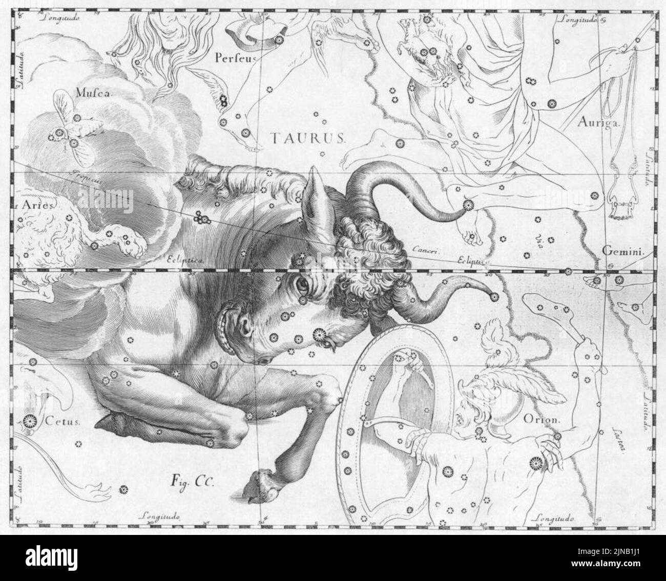 Taurus by Johannes Hevelius Stock Photo - Alamy