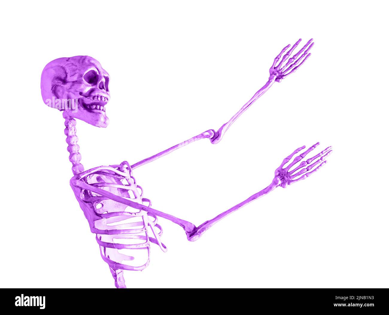 Human skeleton top view hi-res stock photography and images - Alamy