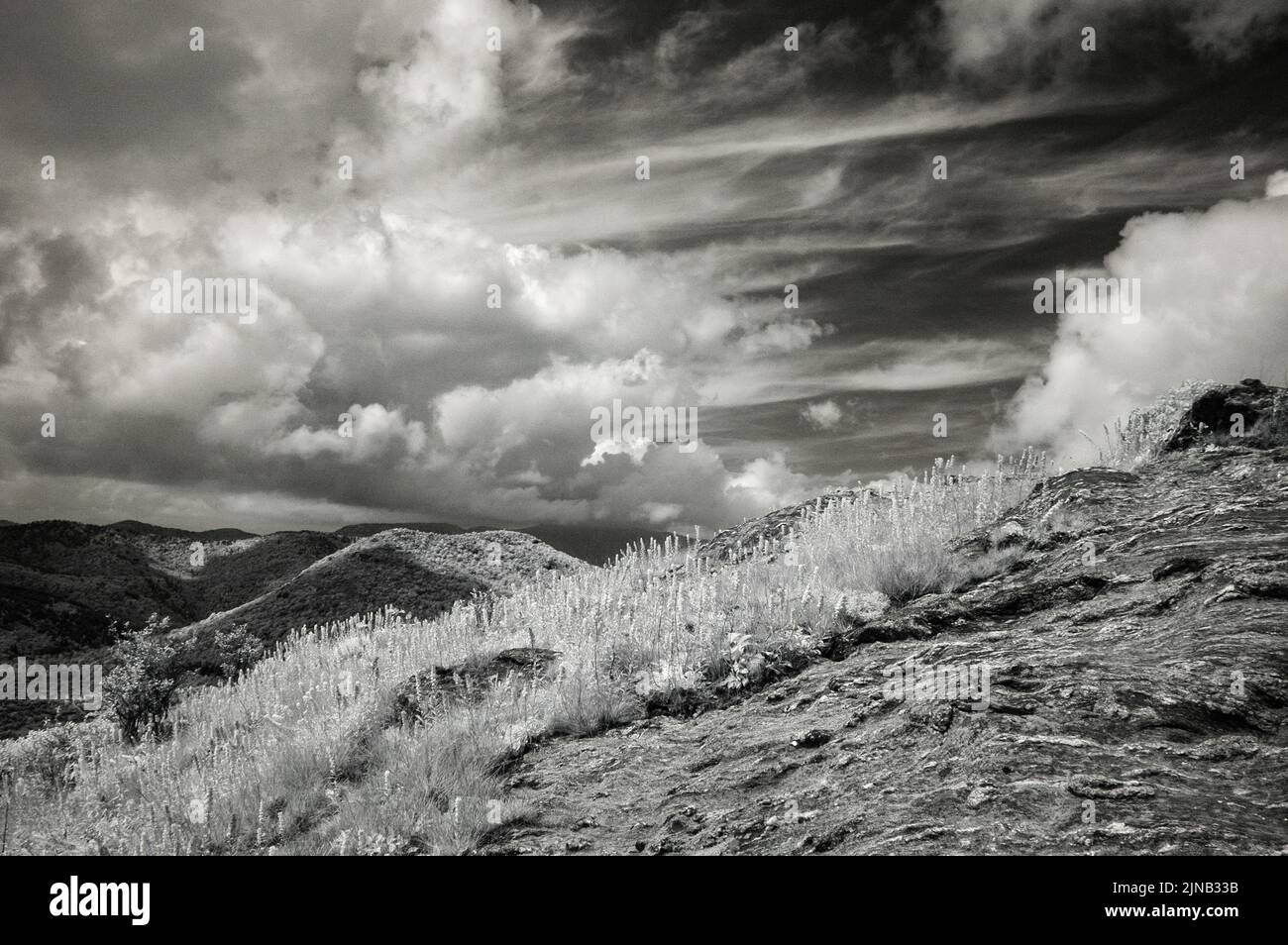 Infra-Red images from Black Balsam on the Blue Ridge Parkway in Western ...
