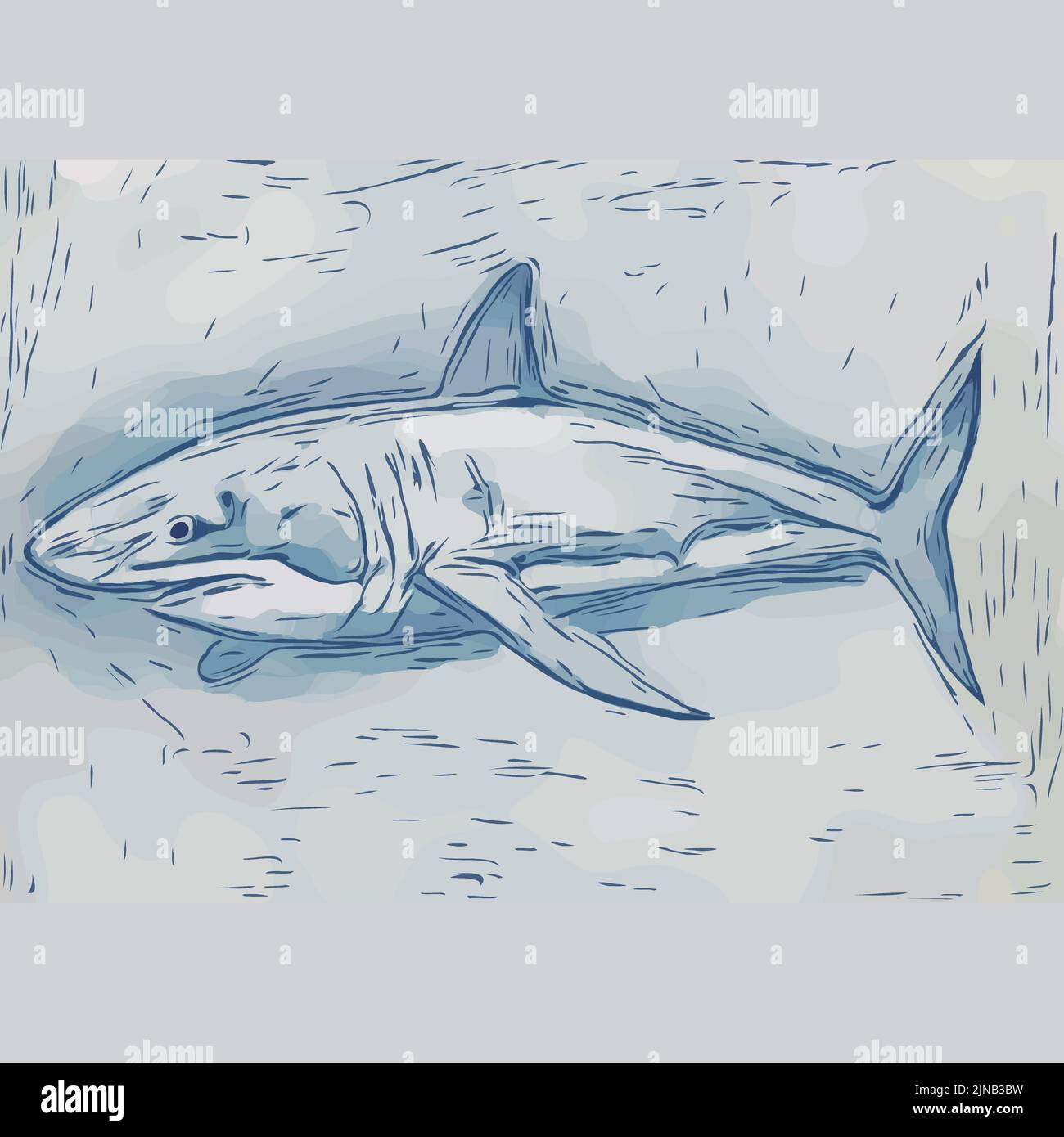 The editable blue cartoon-style shark drawing Stock Vector Image & Art ...