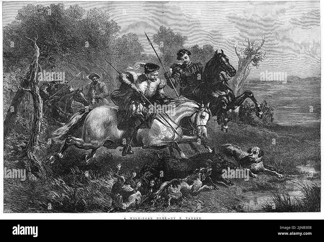 Tayler A wild boar hunt Stock Photo - Alamy