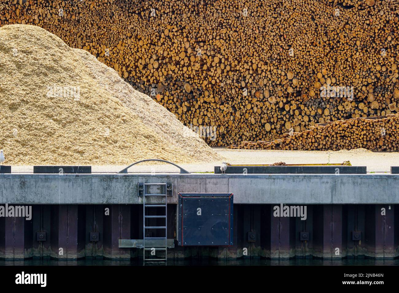 a large pile of wood chips and a tall ridge of logs in the port area ...