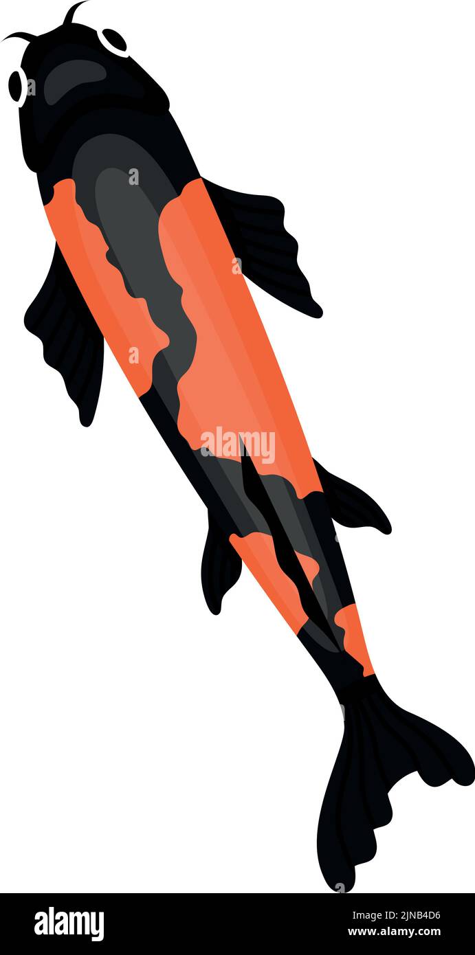 Oriental koi fish. Black orange carp top view Stock Vector Image & Art ...