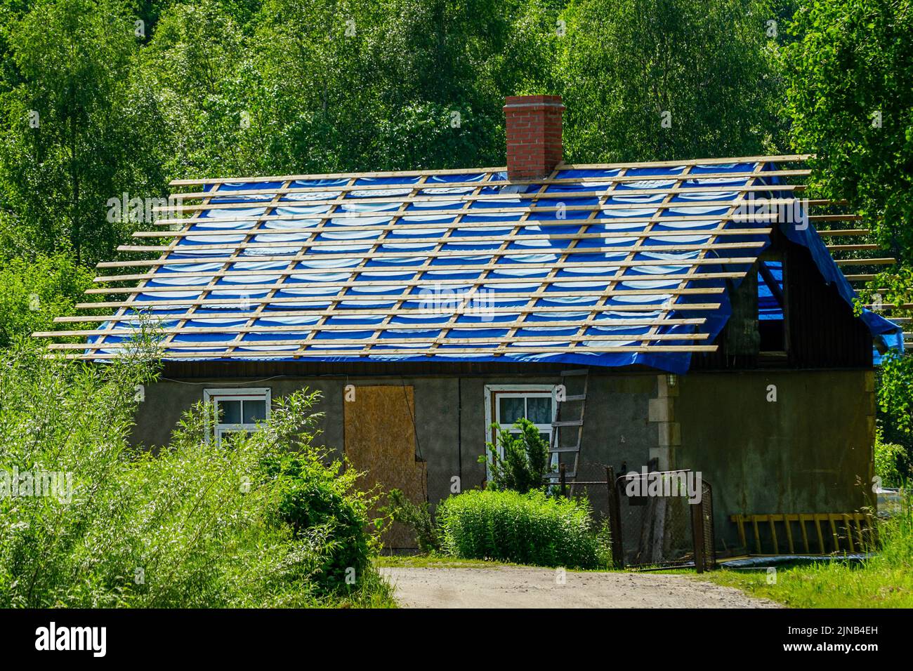 House in rural area trees hi-res stock photography and images - Alamy