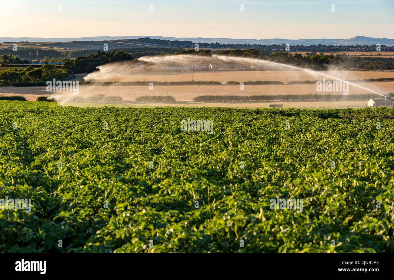 East Lothian, Scotland, United Kingdom, 10th August 2022. Watering ...
