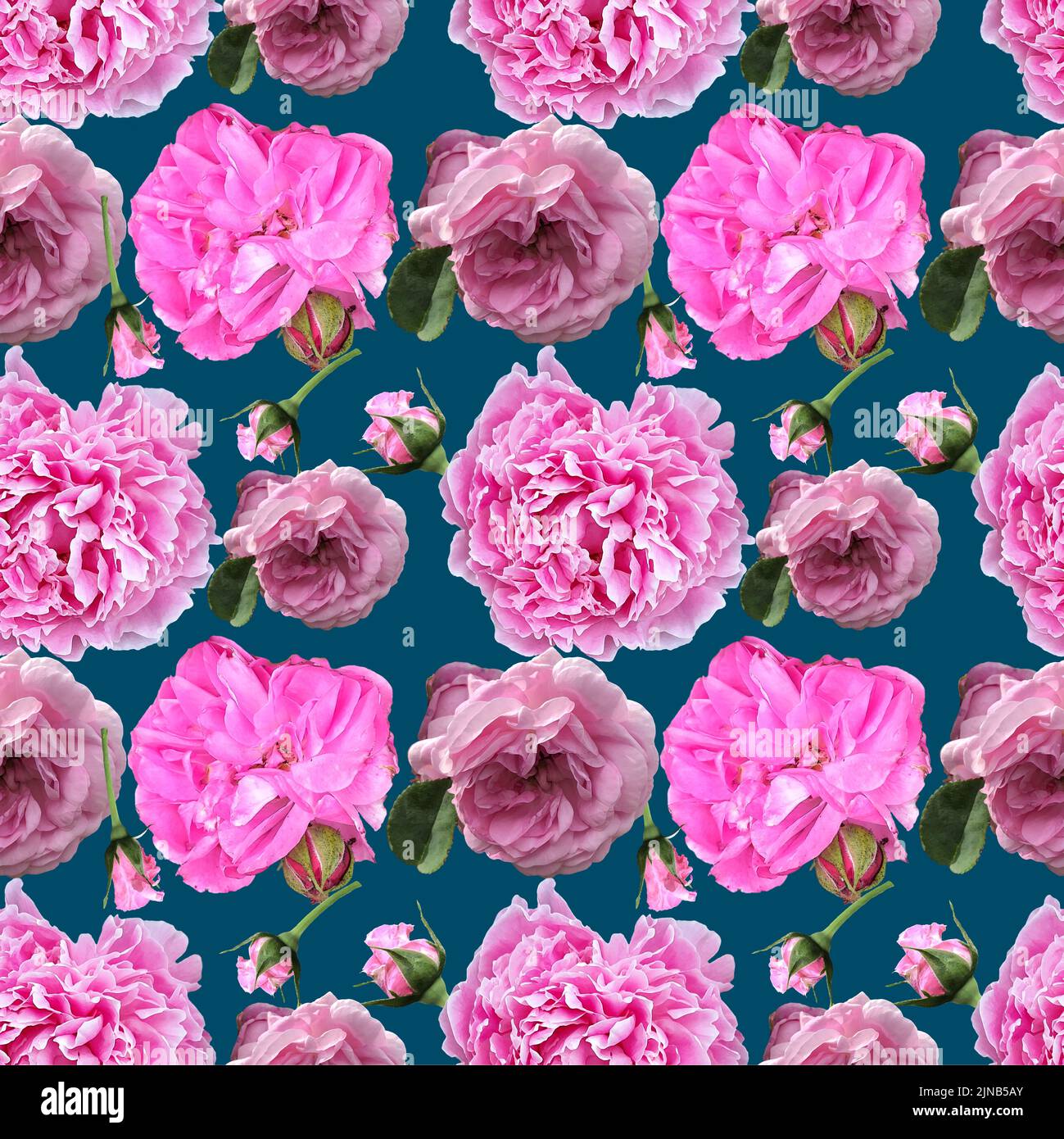 Seamless pattern with hand drawn watercolor pink roses on turquoise ...