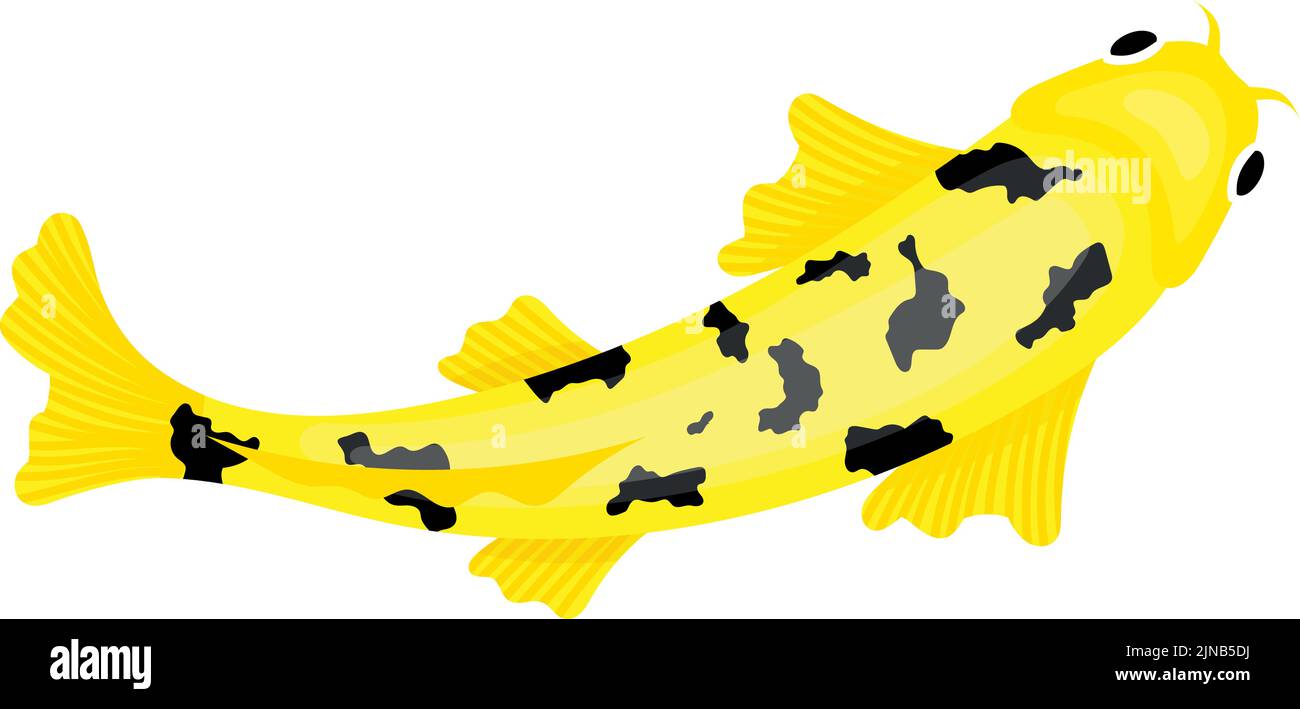 Beautiful top view lake Cut Out Stock Images & Pictures - Alamy