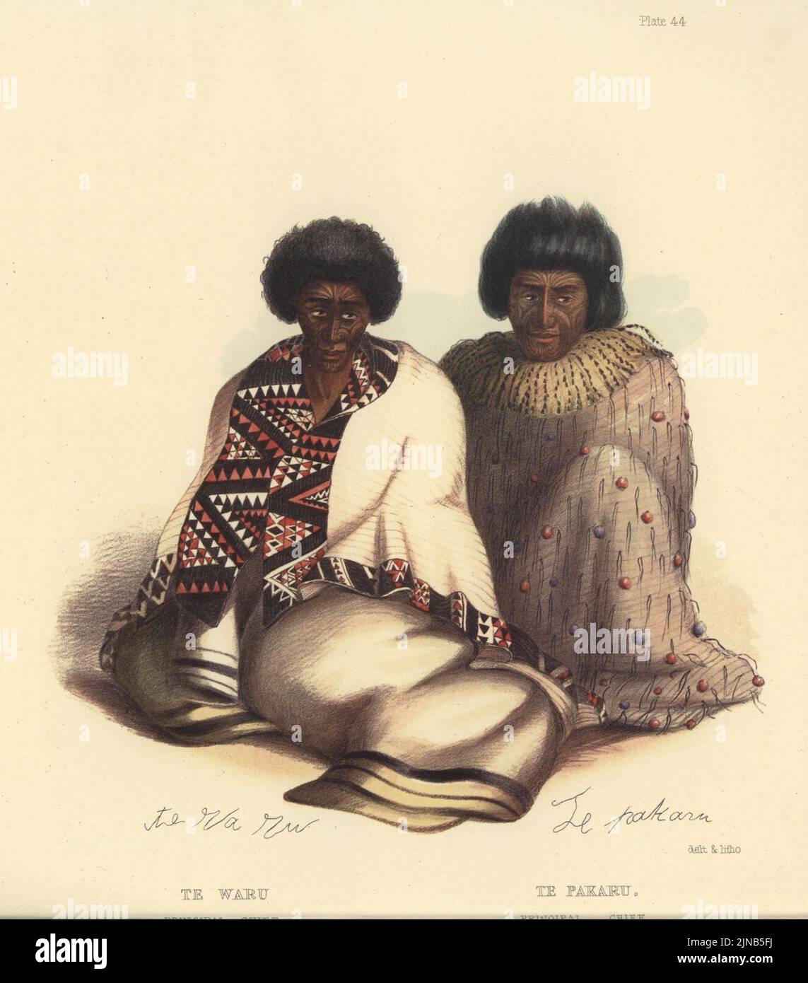 TE WARU, PRINCIPAL CHIEF OF THE NGA TI APAKURA TRIBE. TE PAKARU ...