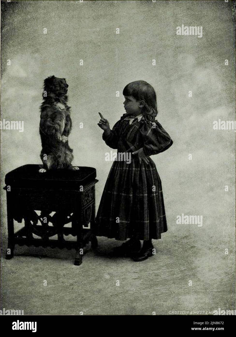 Louis strauss hi-res stock photography and images - Alamy