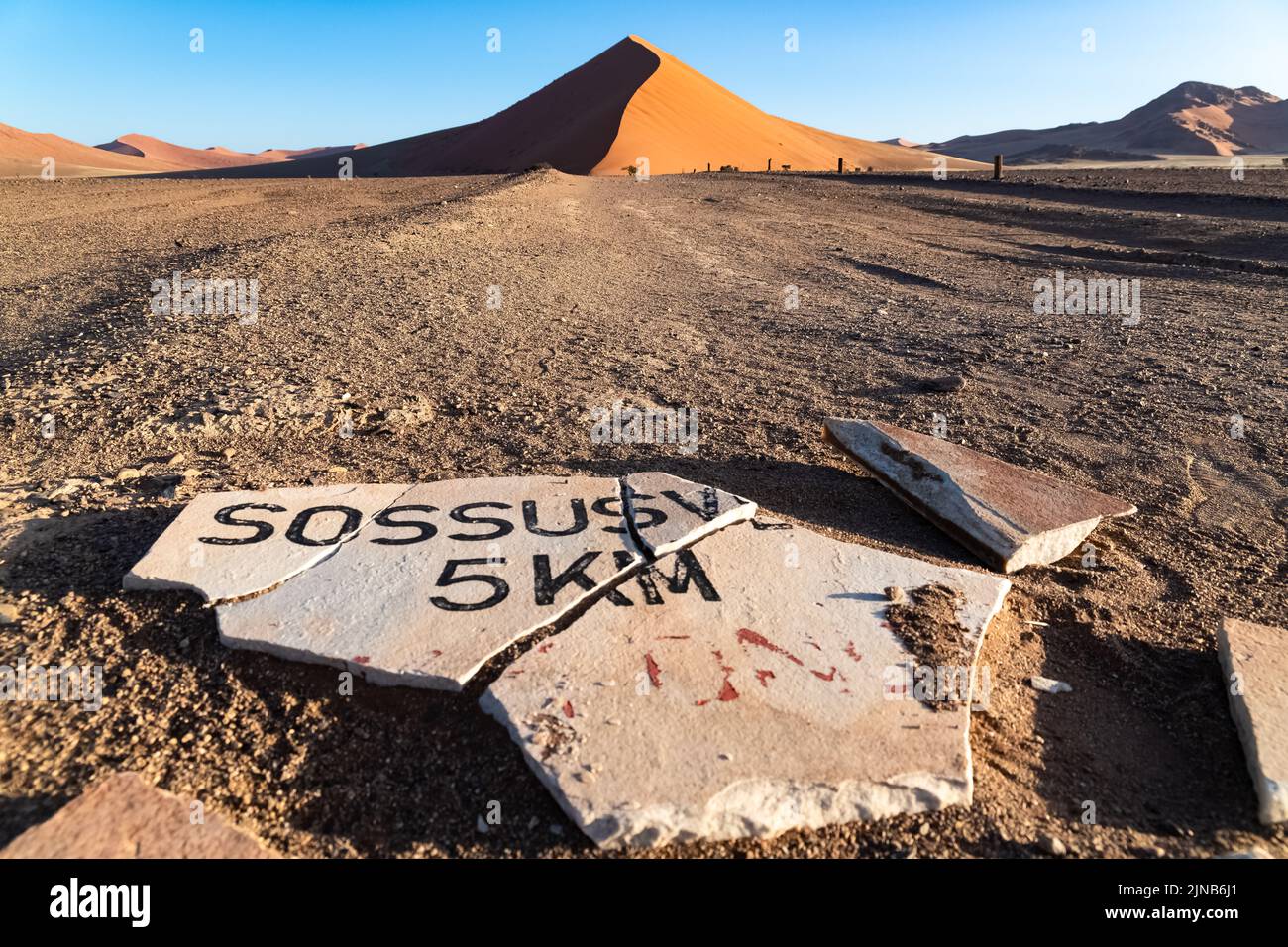 Namibia, the Namib desert, graphic landscape of yellow dunes ...