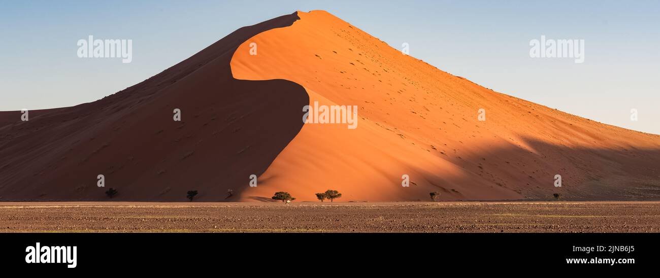 Namibia, the Namib desert, graphic landscape of yellow dunes, rain season Stock Photo - Alamy