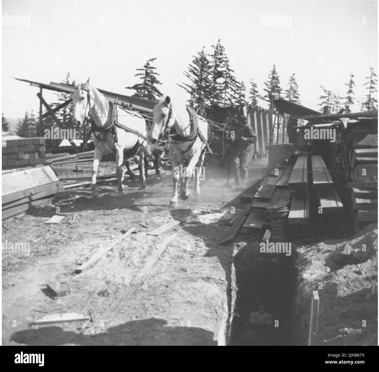 Team of horses moving a water tank during the construction of Fort ...