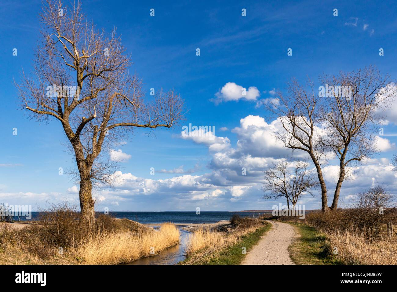 Strand Boltenhagen Ostsee Stock Photo - Alamy