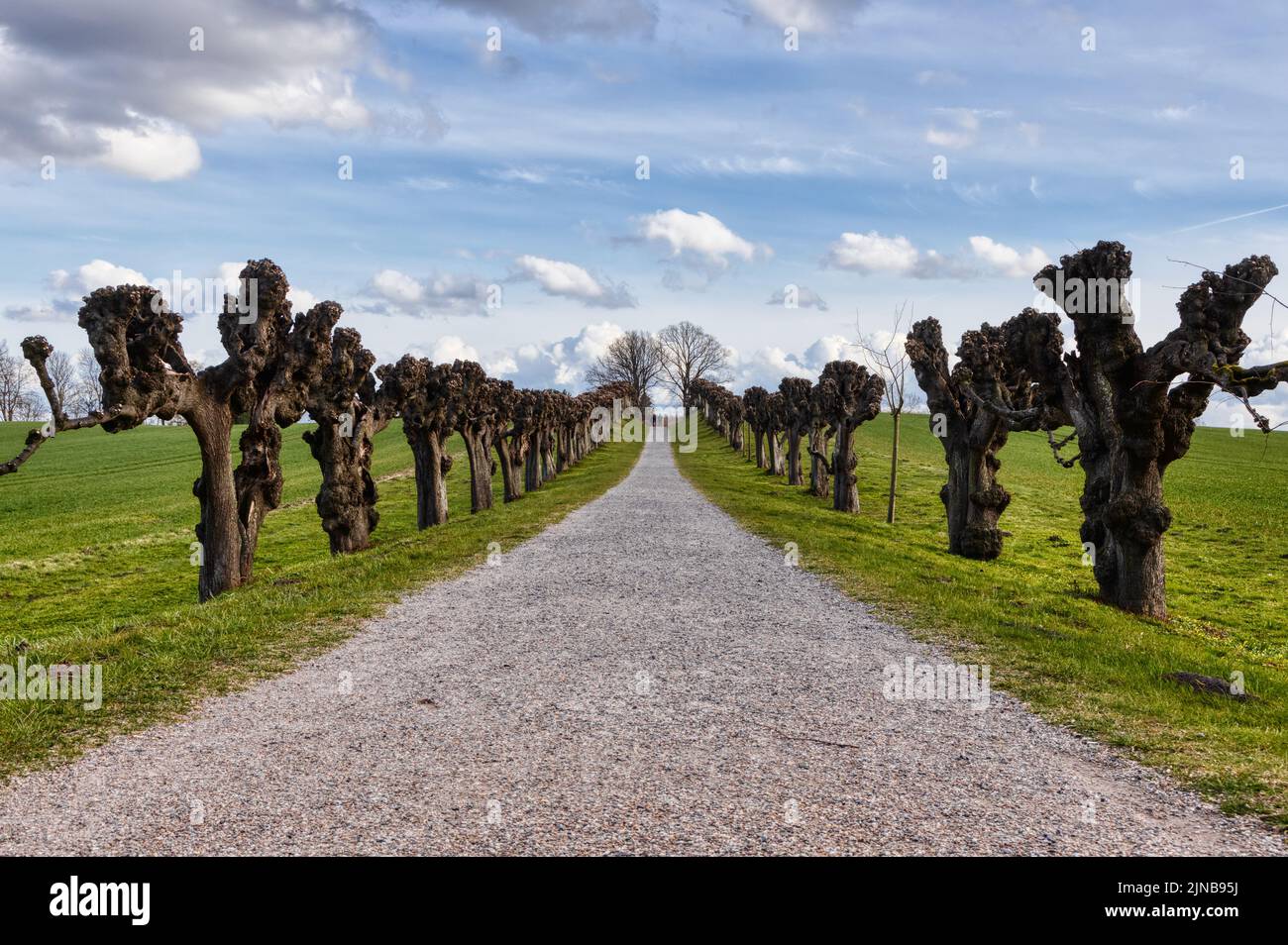 Historische allee hi-res stock photography and images - Alamy