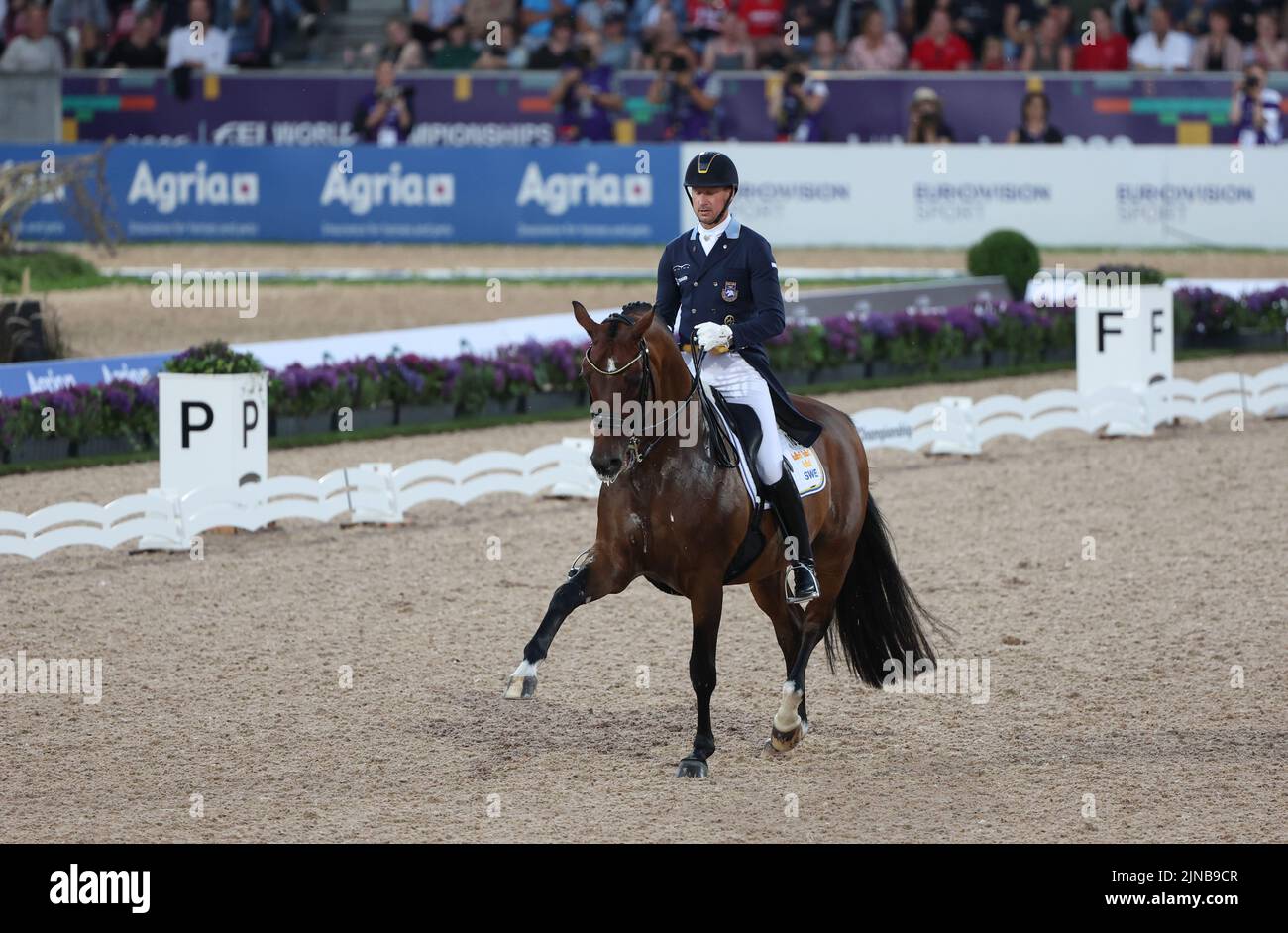 Herning, Denmark. 10th Aug, 2022. Equestrian sport: World Championship ...