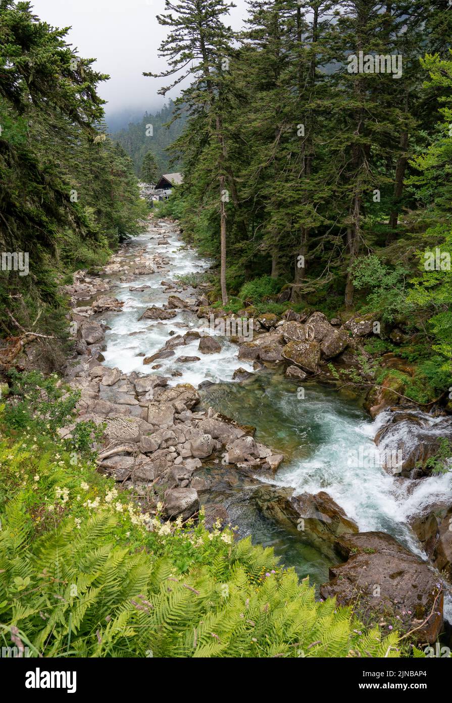 a waterfall and river pour through steep-sided rock gorge with white ...