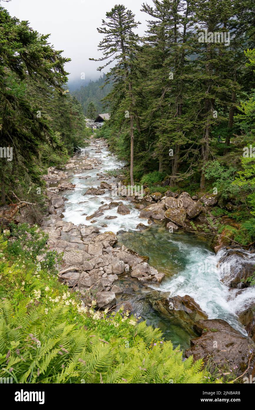 a waterfall and river pour through steep-sided rock gorge with white ...