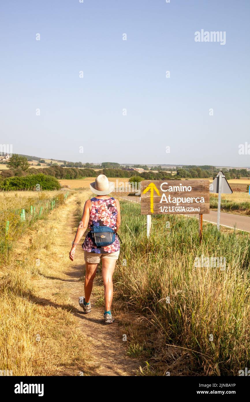 Woman walking the Camino de Santiago pilgrimage route the way of St ...