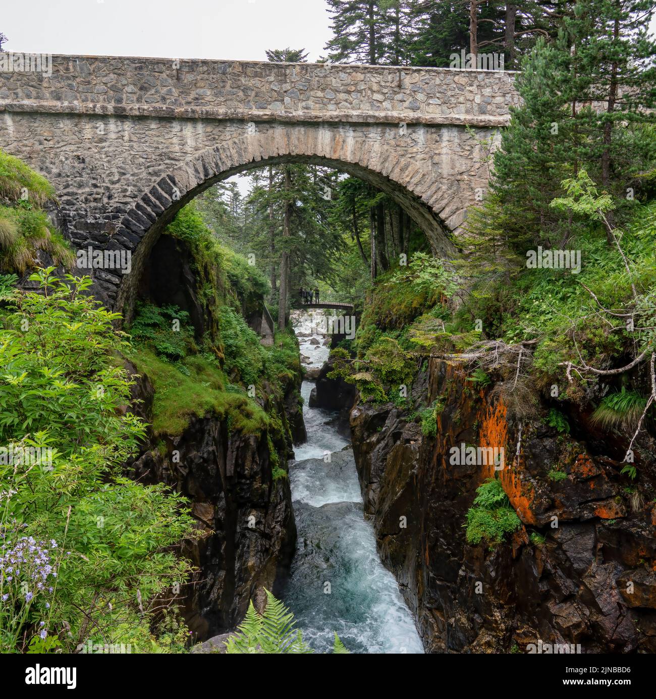 waterfall and river pour through steep-sided rock gorge with white ...