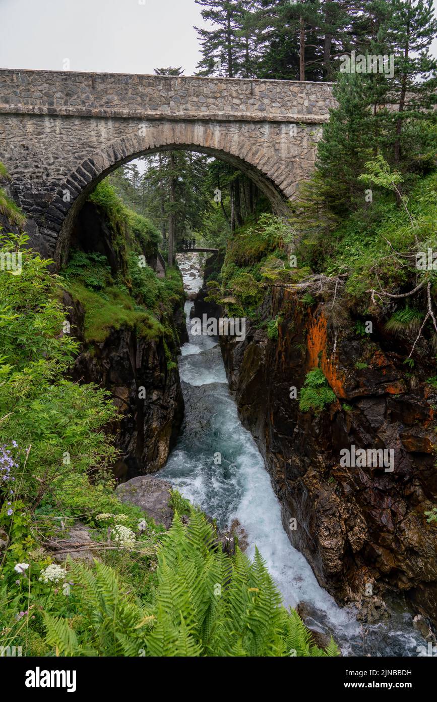 waterfall and river pour through steep-sided rock gorge with white ...