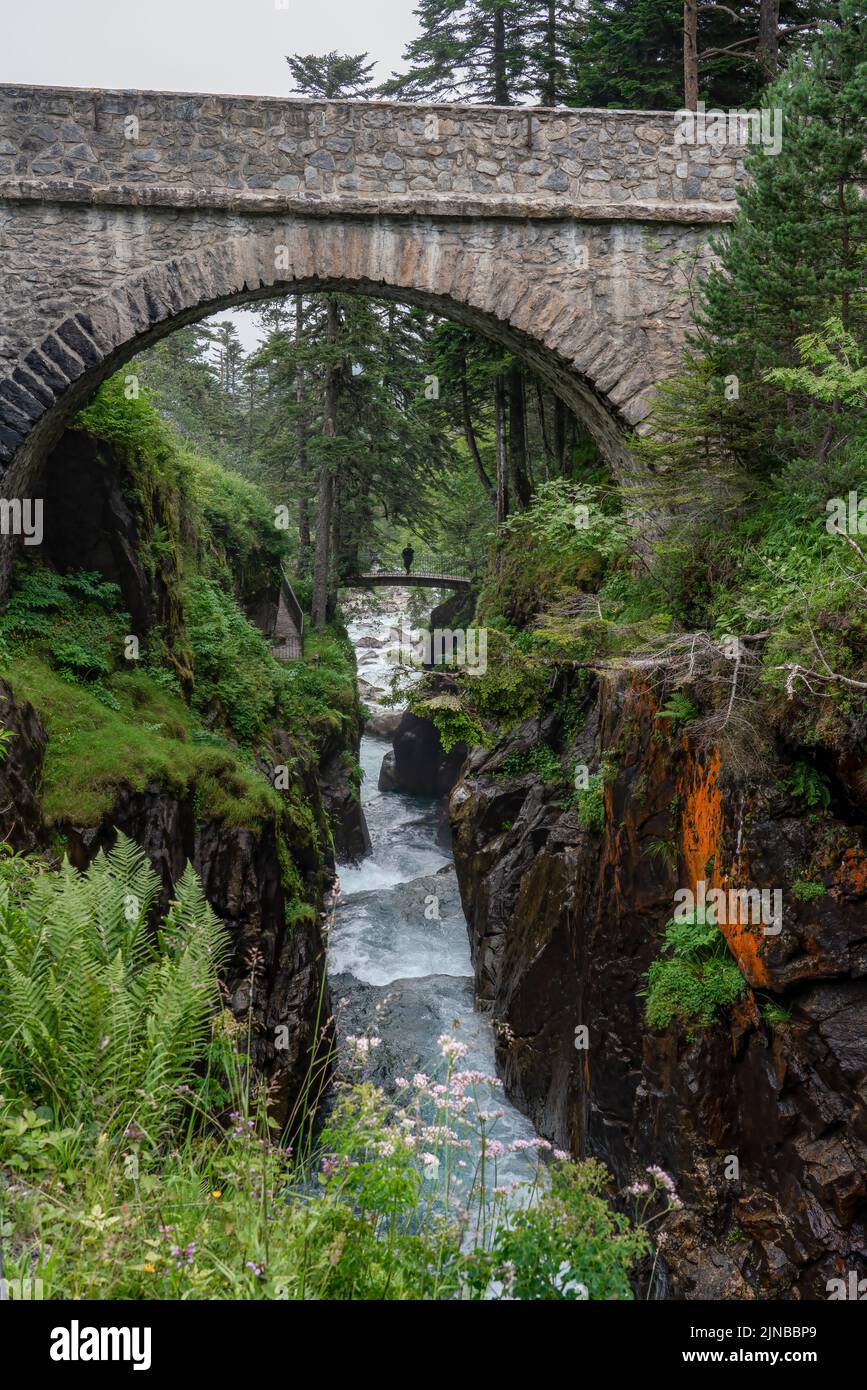 waterfall and river pour through steep-sided rock gorge with white ...