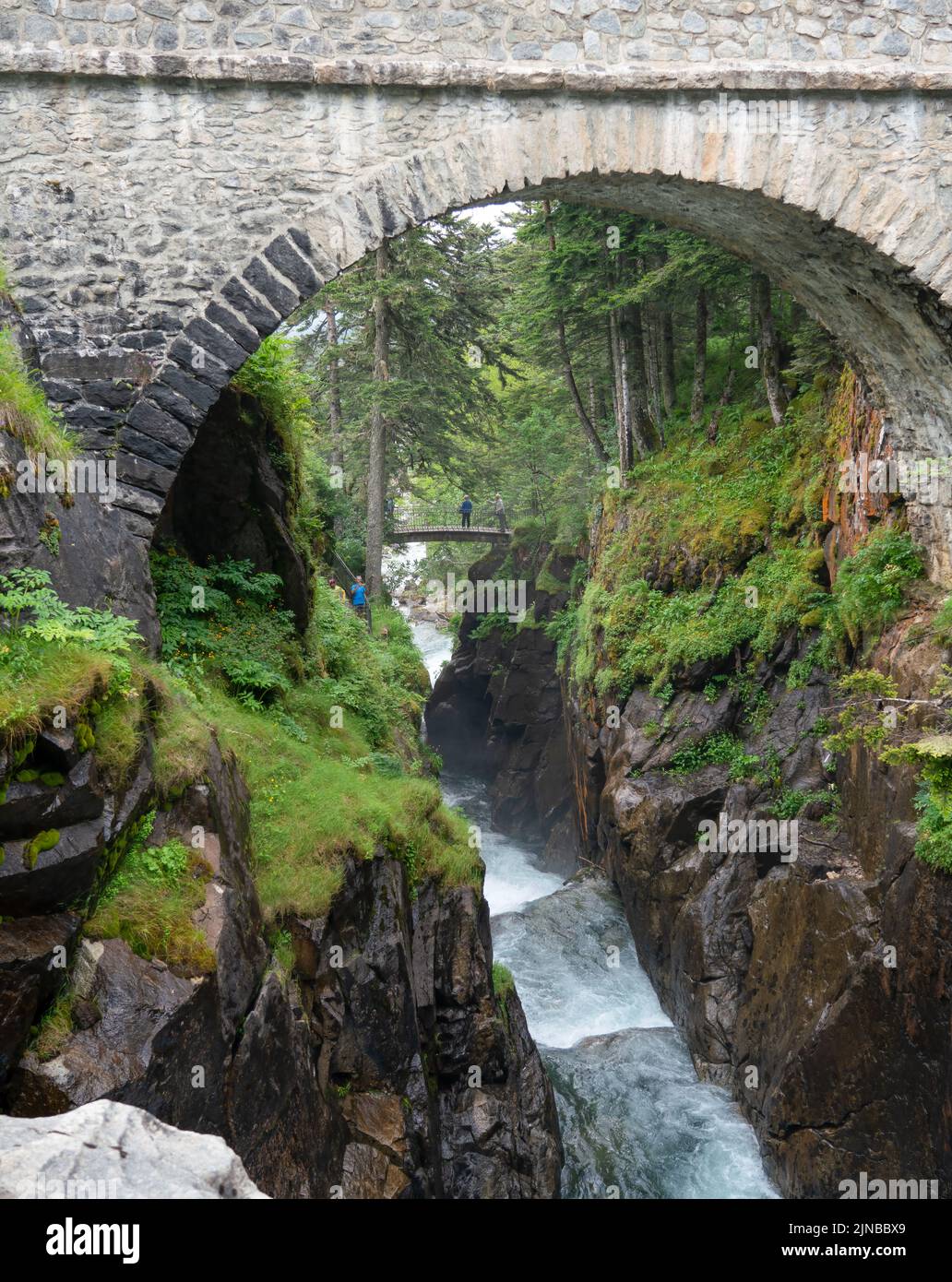 waterfall and river pour through steep-sided rock gorge with white ...
