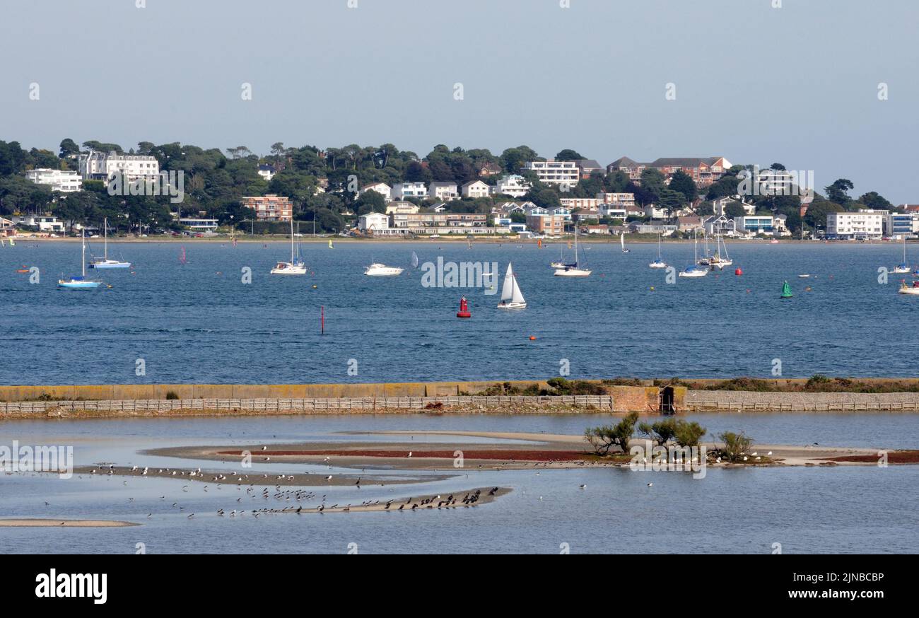 POOLE HARBOUR FROM BROWNSEA ISLAND, POOLE DORSET PIC MIKE WALKER,2010 ...