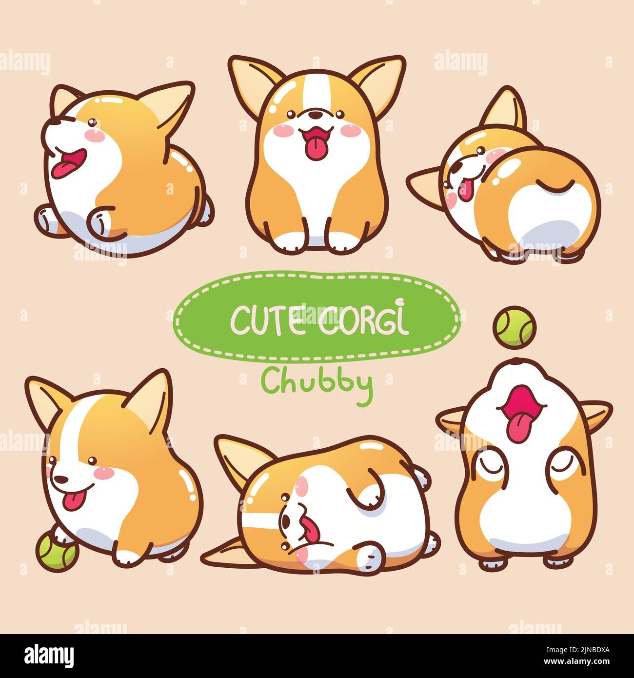 Cute Chubby Corgi Collection Stock Vector Image & Art - Alamy