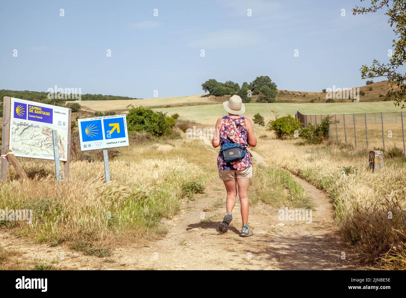 Woman walking the Camino de Santiago pilgrimage route the way of St ...