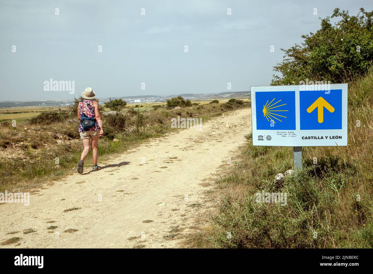 Woman walking the Camino de Santiago pilgrimage route the way of St ...