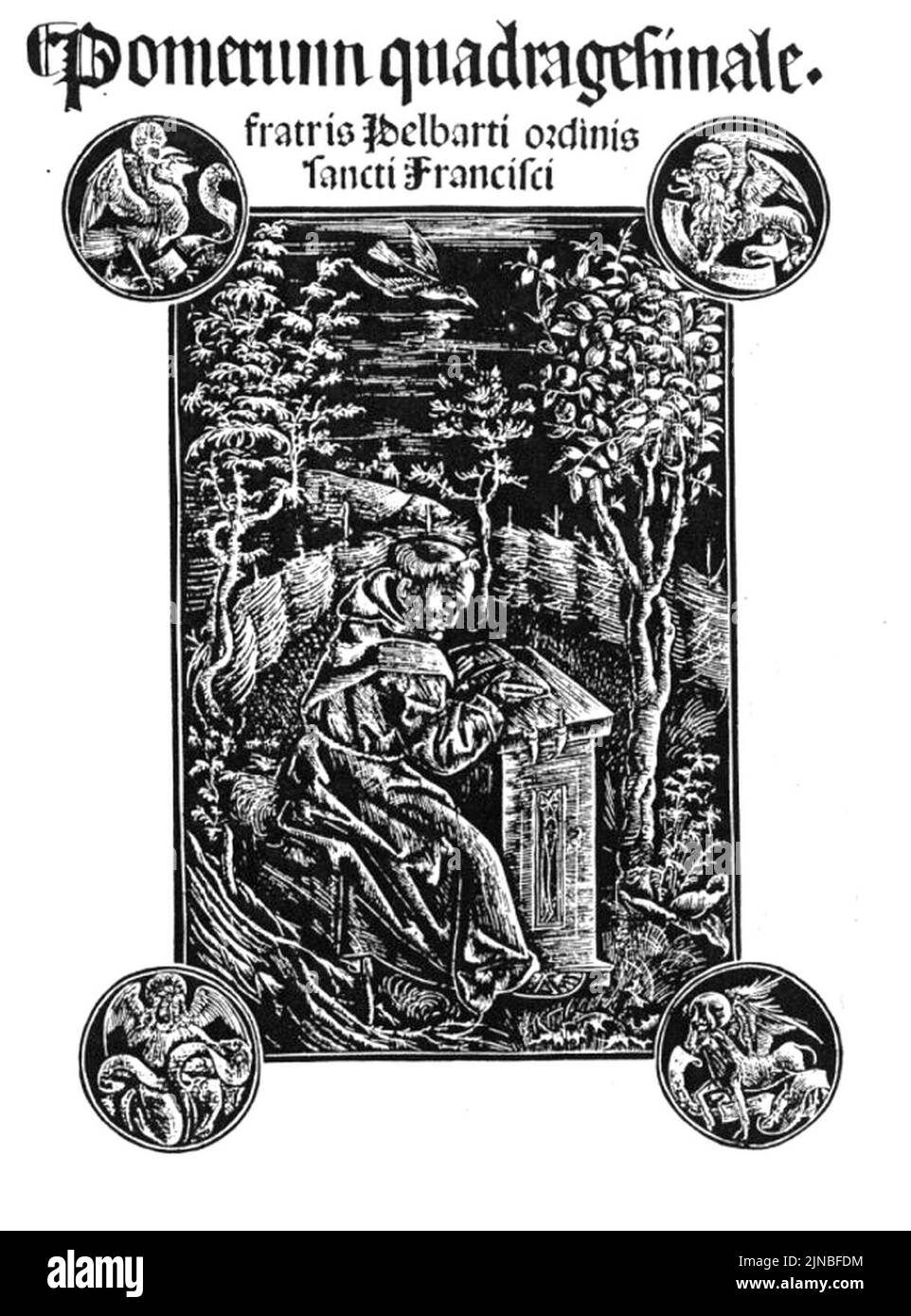 Temesvari Cut Out Stock Images & Pictures - Alamy